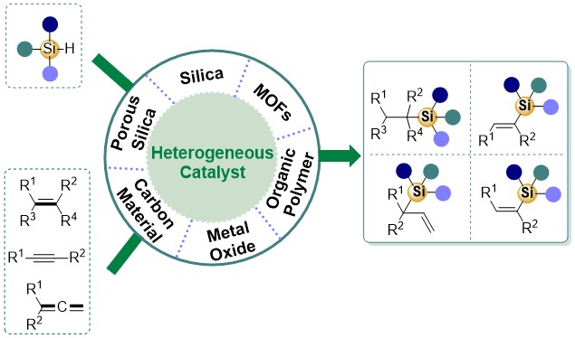 扬州大学教师个人主页服务平台 陈 锋--Chinese homepage--首页