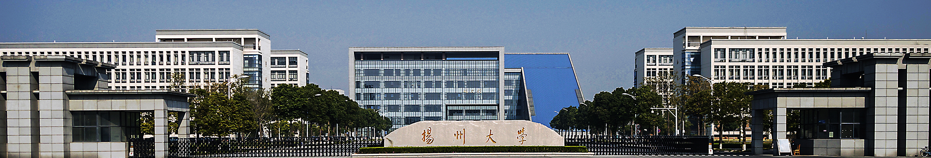 关于主页-扬州大学教师主页综合门户中文